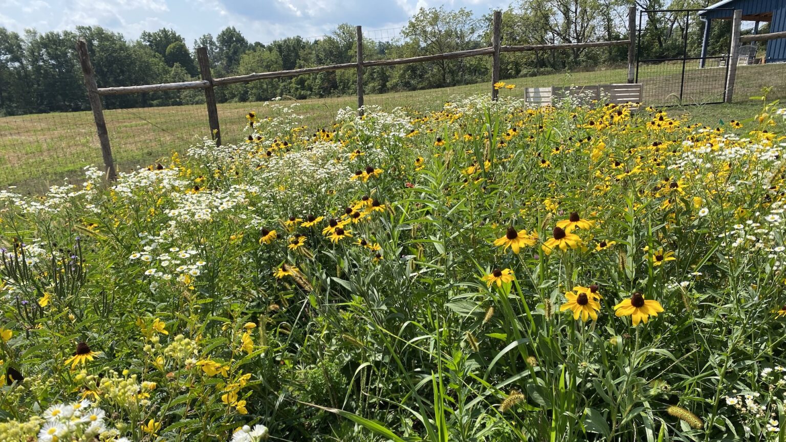 Cold Brook Farm: A Year to Remember